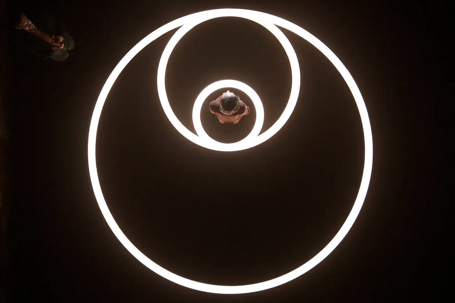 The Three Body Solution - The European Review of Books